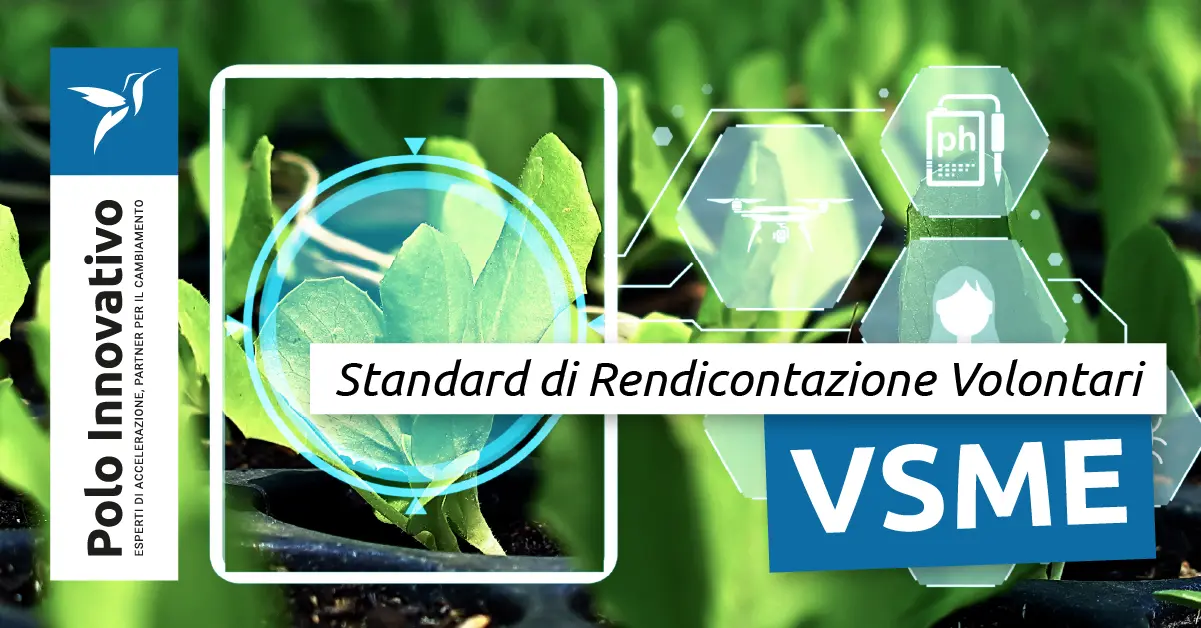 VSME: Standard per il Bilancio di Sostenibilità Volontario